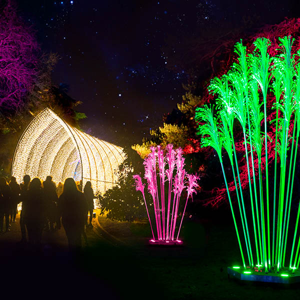 Tickets for Sport, Concerts, Theatre, Arts, Family Events, Comedy ...