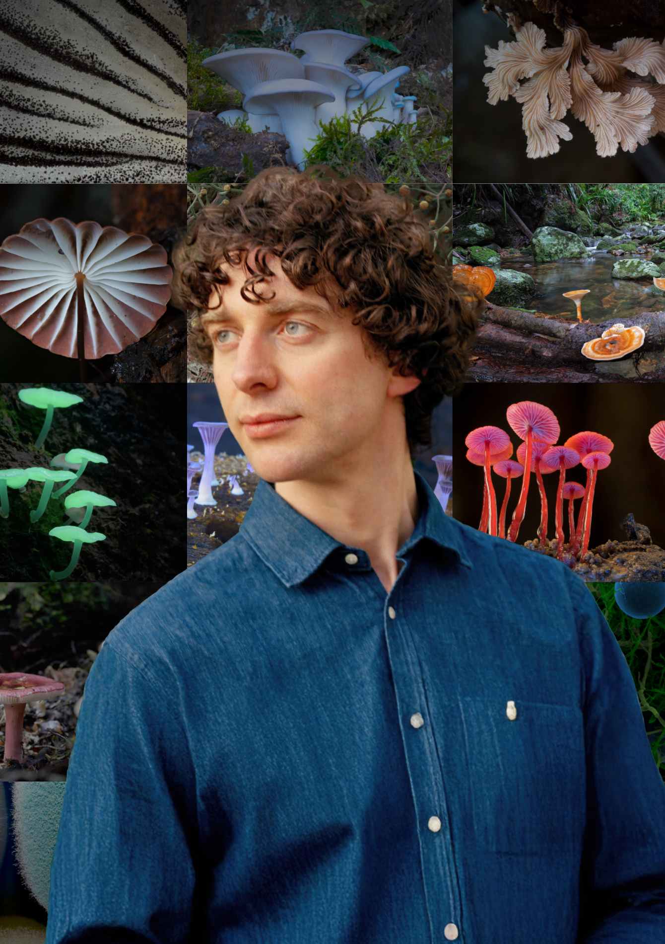 Tickets for Sport, Concerts, Theatre, Arts, Family Events, Comedy ...